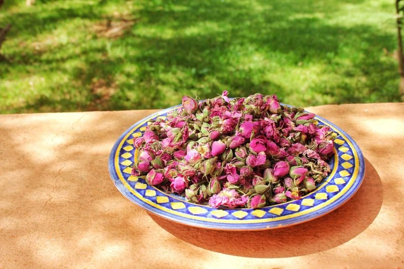 Moroccan Rose - Beauty's Best Kept Secret